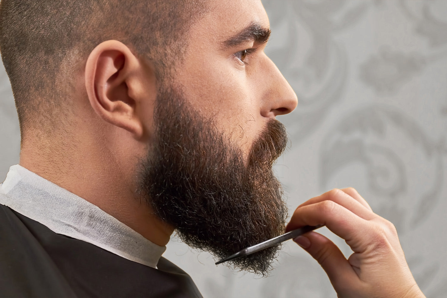 Beard Comb vs. Brush: How and When To Use Them for Your Beard – The ...