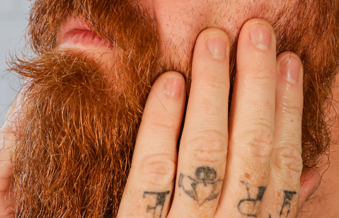 10 Long Beard Styles for Men With Longer Facial Hair | The Beard Club